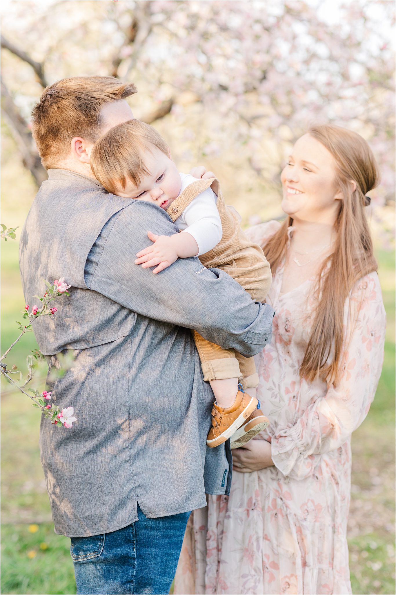 Plummer family | Cider Hill Family Orchard apple blossom maternity ...