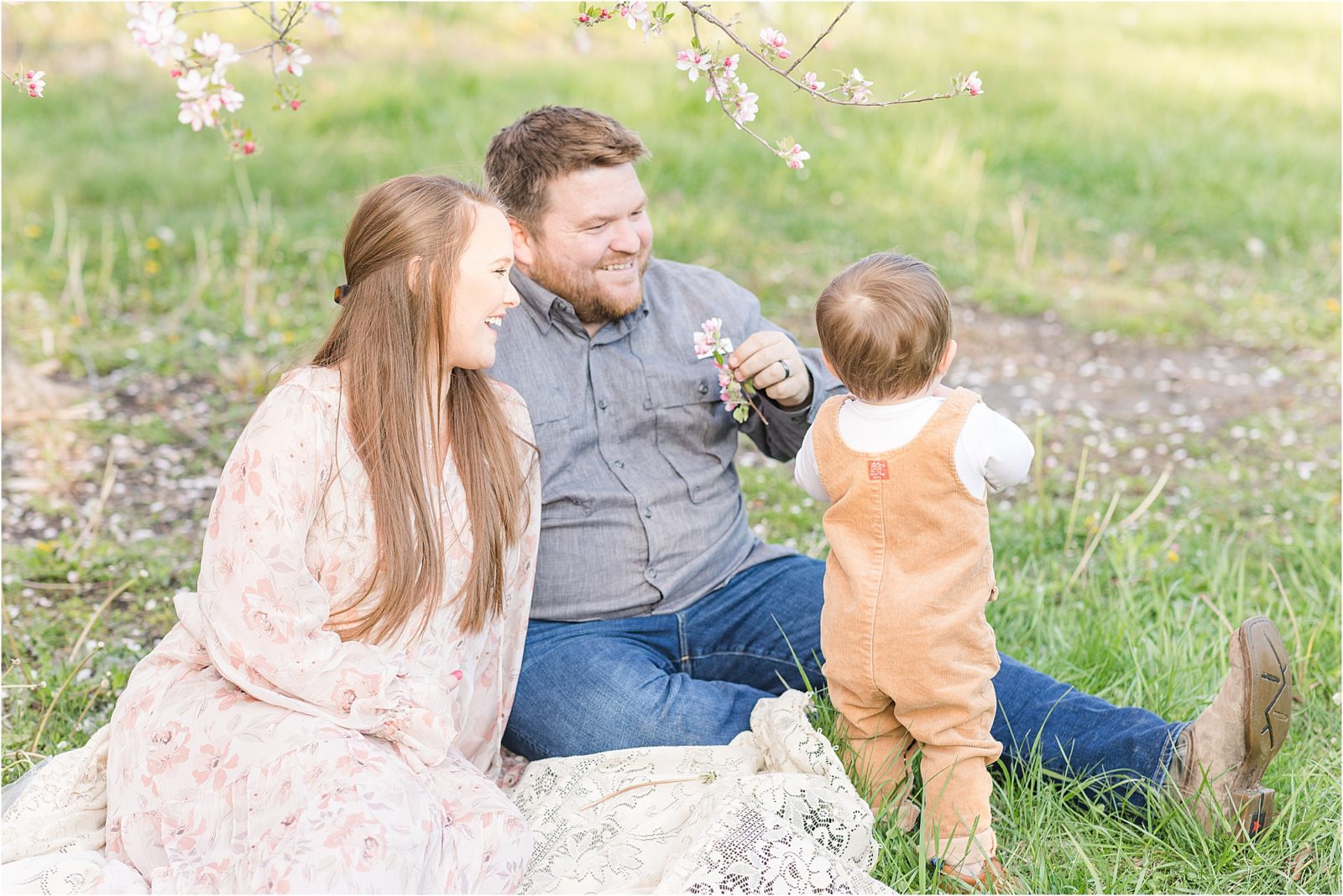 Plummer family | Cider Hill Family Orchard apple blossom maternity ...