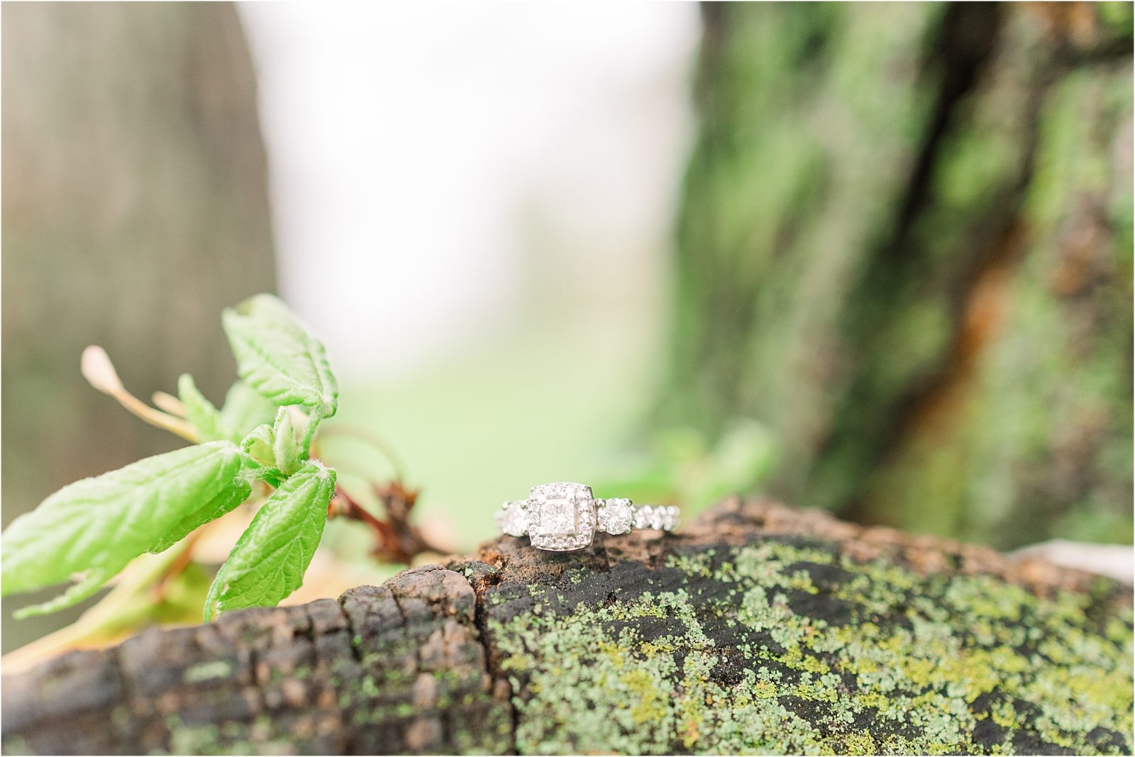 Historic Arrow Rock engagement session | Missouri wedding photographer ...